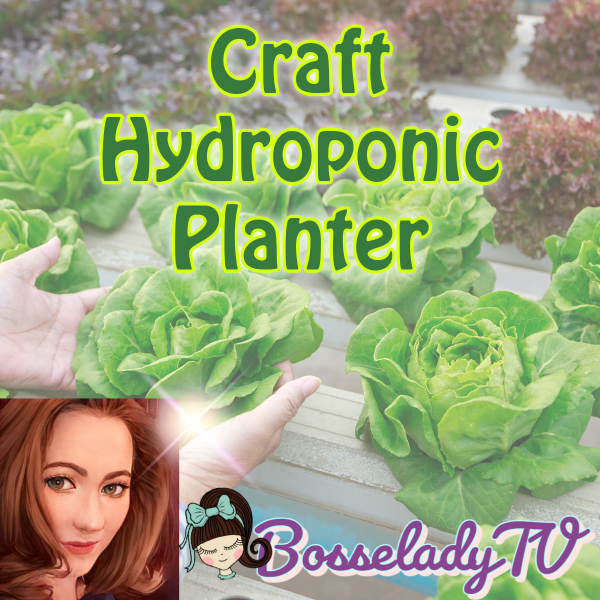 Craft Hydroponic Planter – BosseladyTV